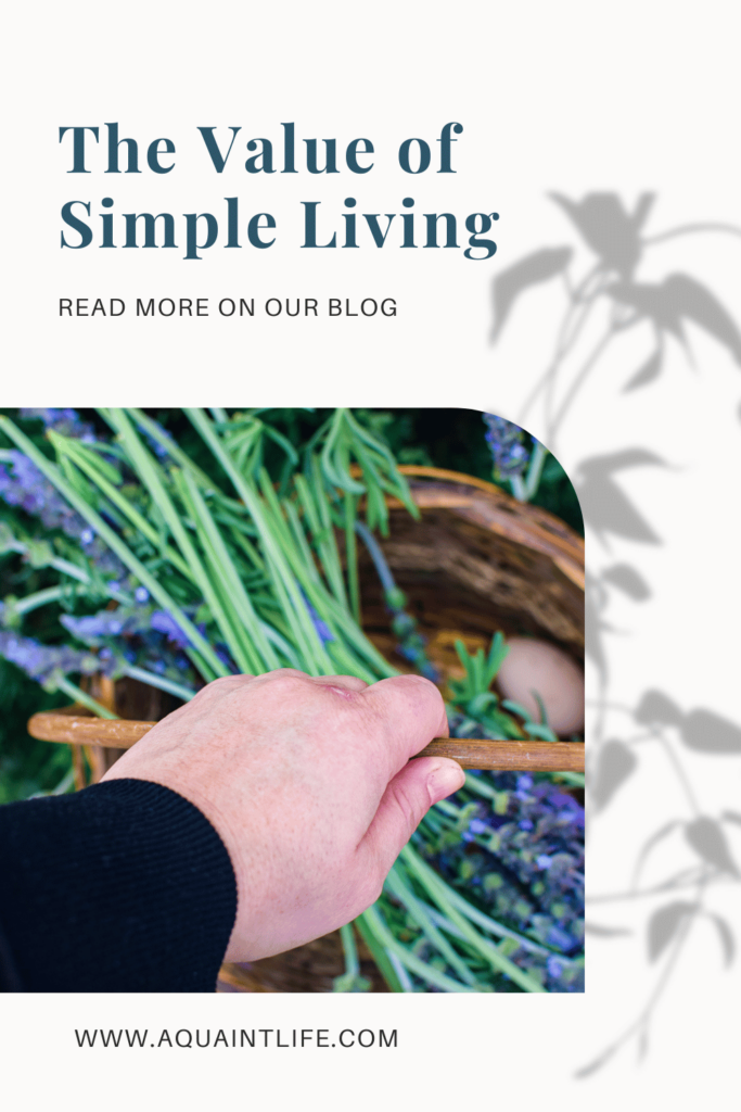 The Value of Simple Living - A Quaint Life