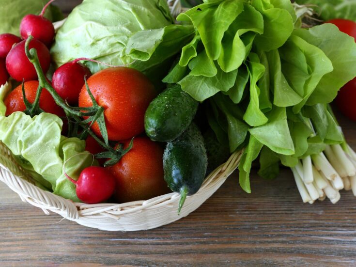 8 Quick Growing Plants For The Garden - A Quaint Life