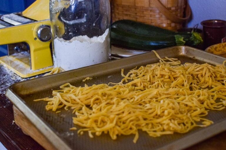 Basic Egg Pasta Recipe - A Quaint Life