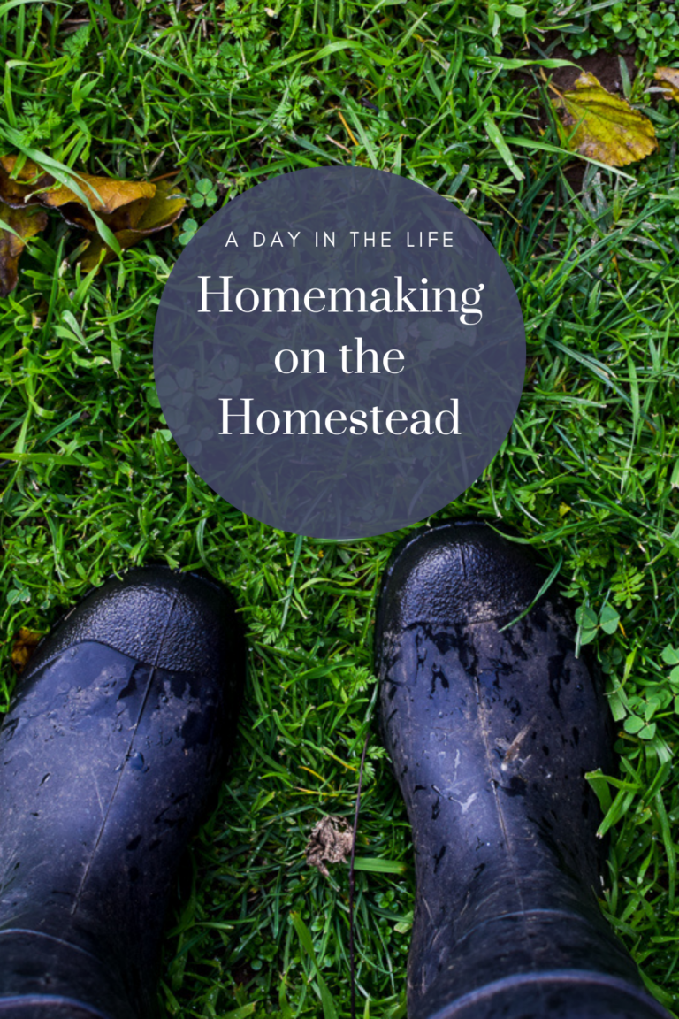 Homemaking on the Homestead - A Quaint Life