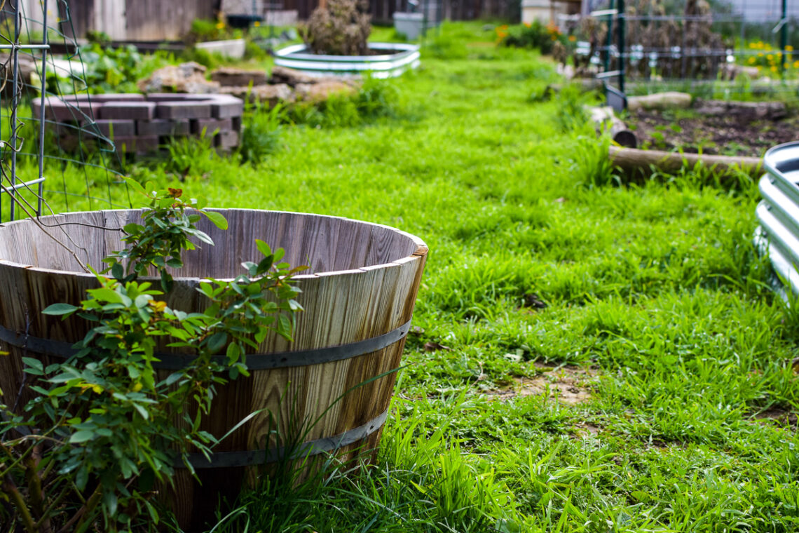 Homemaking on the Homestead - A Quaint Life