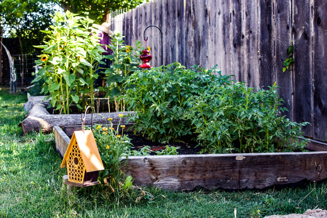 Embracing a Simple Life | Slow Living - A Quaint Life