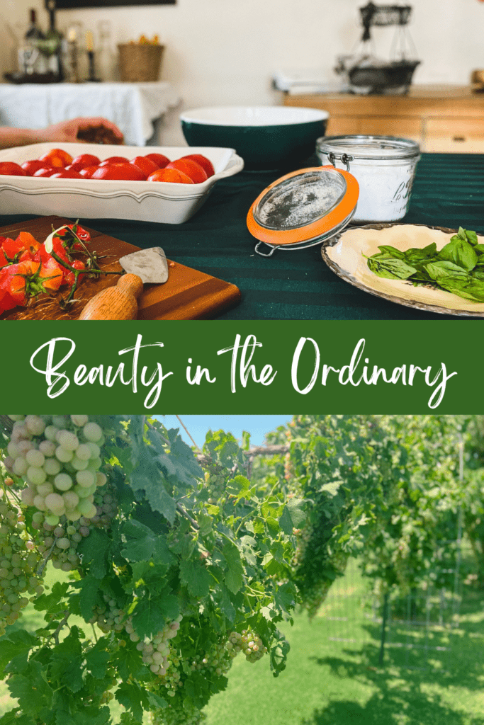 Beauty in the Ordinary | Day of Homemaking - A Quaint Life