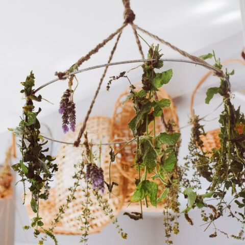 DIY Herb Drying Rack - A Quaint Life