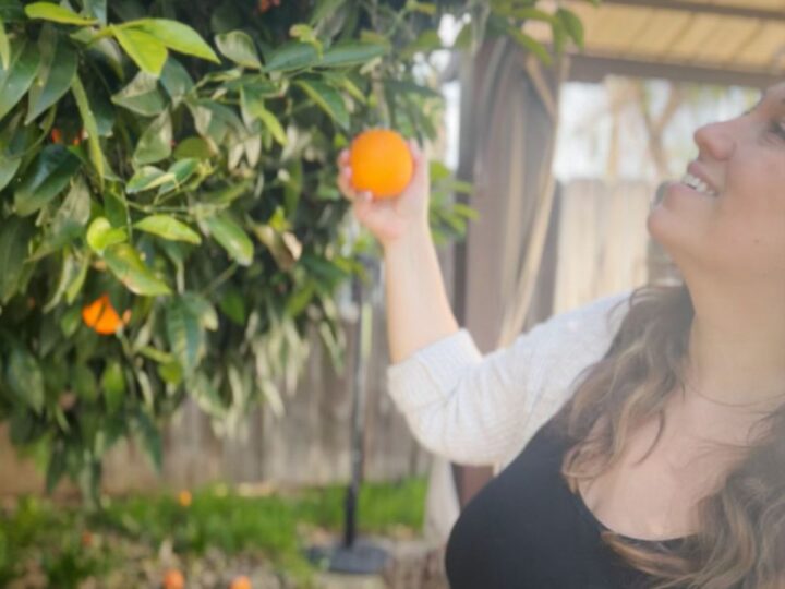 35 Best Homemaking Quotes For Inspiration - A Quaint Life