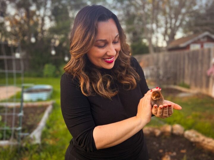 Homemaking on the Homestead - A Quaint Life