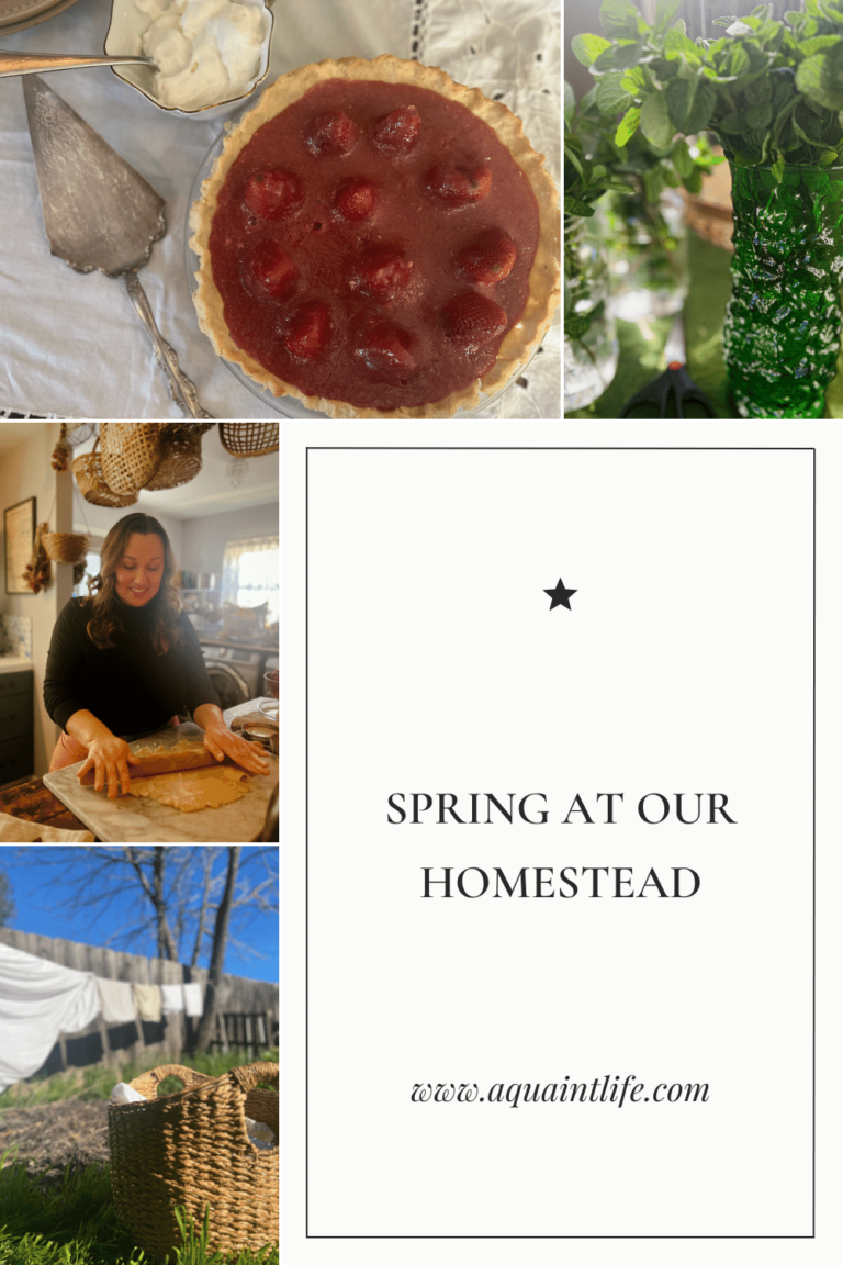 Spring at Our California Homestead - A Quaint Life