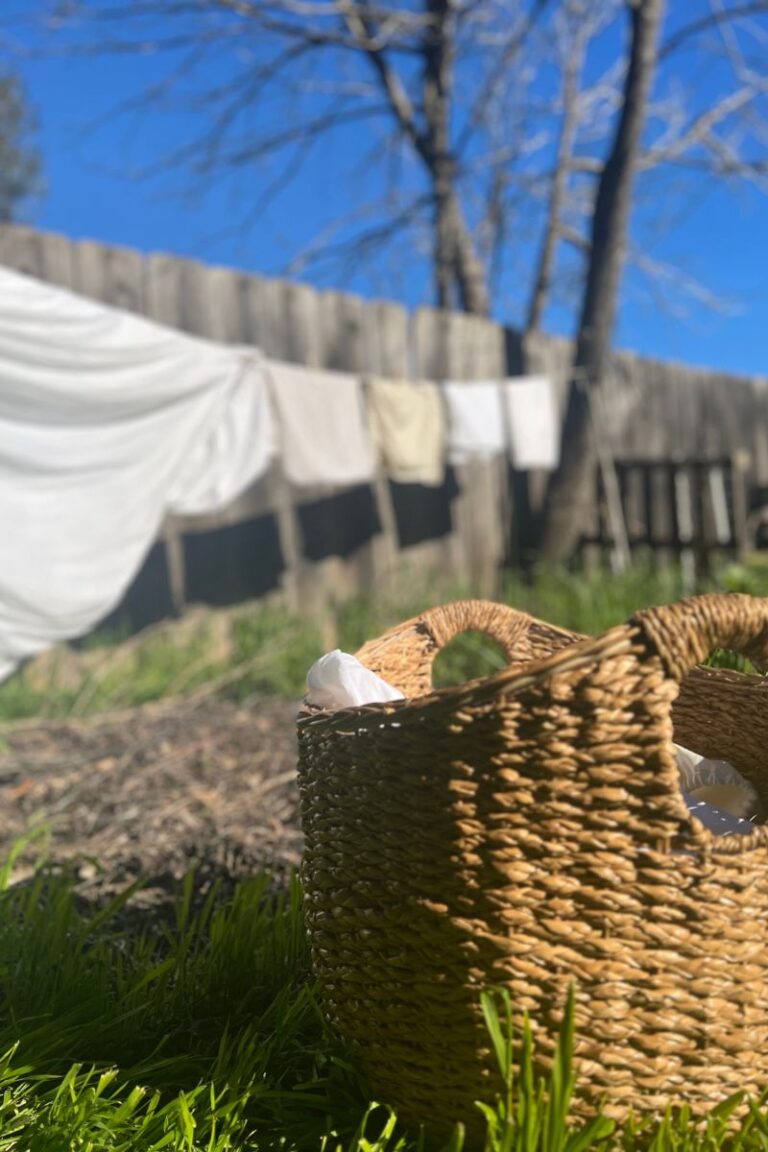 Spring at Our California Homestead - A Quaint Life