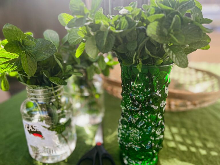 Spring at Our California Homestead - A Quaint Life