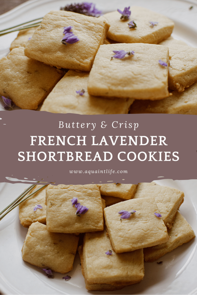 French Lavender Shortbread Cookies - A Quaint Life