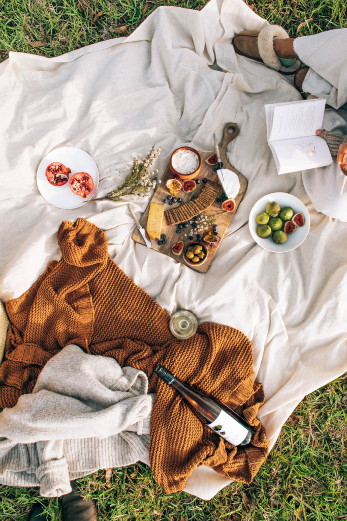 8 Tips For The Perfect Picnic [For Optimal Fun] - A Quaint Life