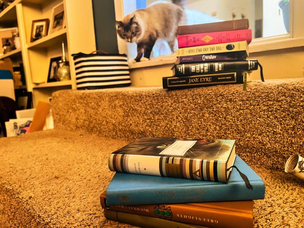 My Moody Home Library (Cozy Dark Academia) - A Quaint Life